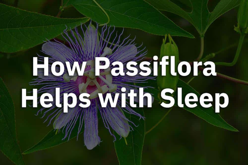 How Passiflora Helps With Sleep – Bud and Nectar
