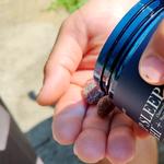 Rediscover Deep Sleep – Bud and Nectar
